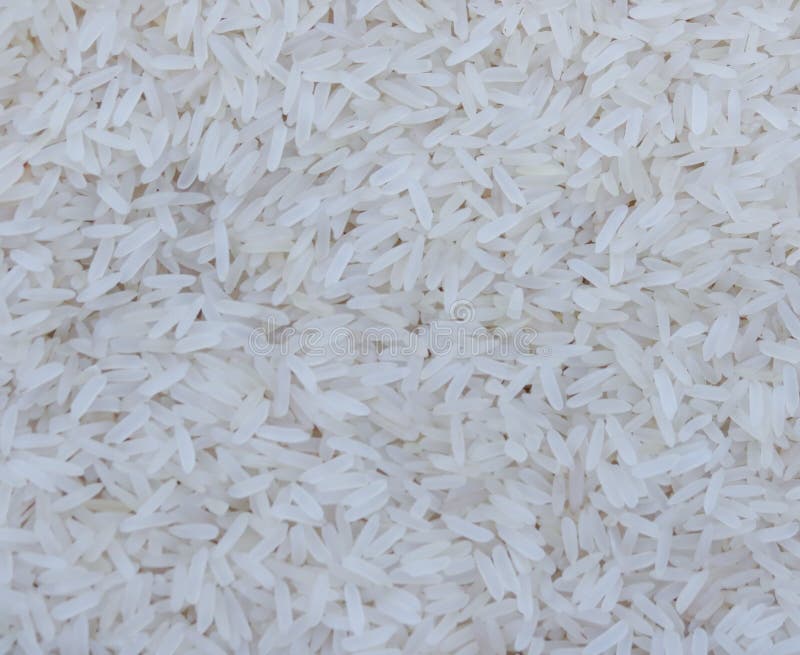 Basmati rice food stock image. Image of eating, asia - 197522125