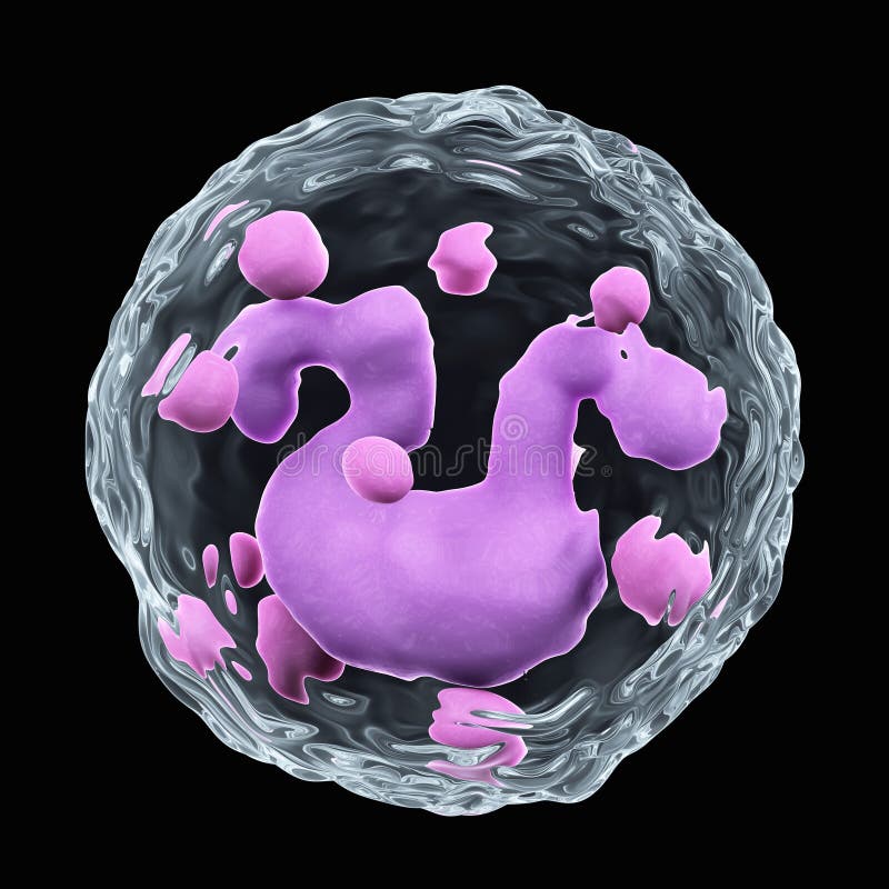 A basophile stock illustration. Illustration of biology - 58448592