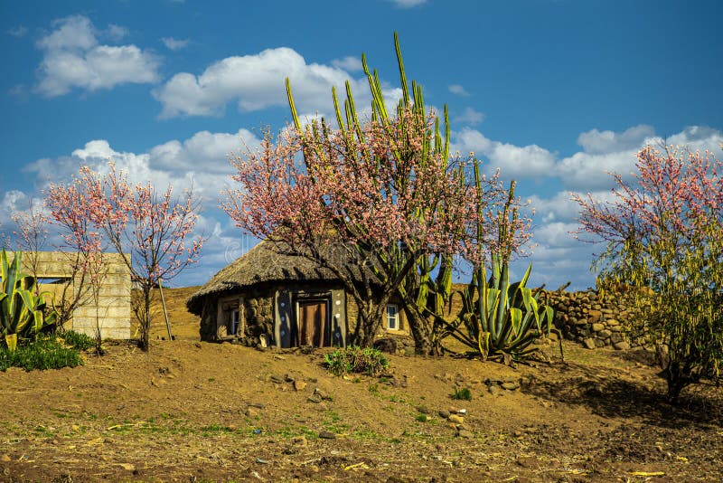 Basotho Hut, Lesotho`s Traditional House Stock Photo - Image of village ...