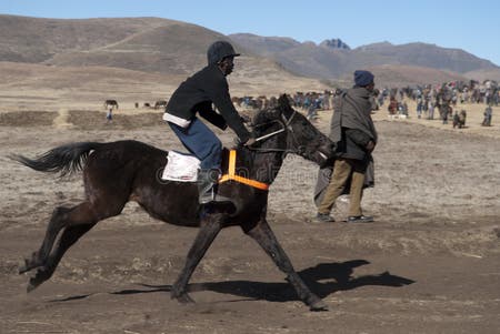 Basotho racing pony editorial stock image. Image of mountains - 18930849