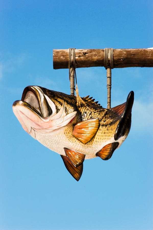Bass Fish Hanging Picture. Image: 4557158