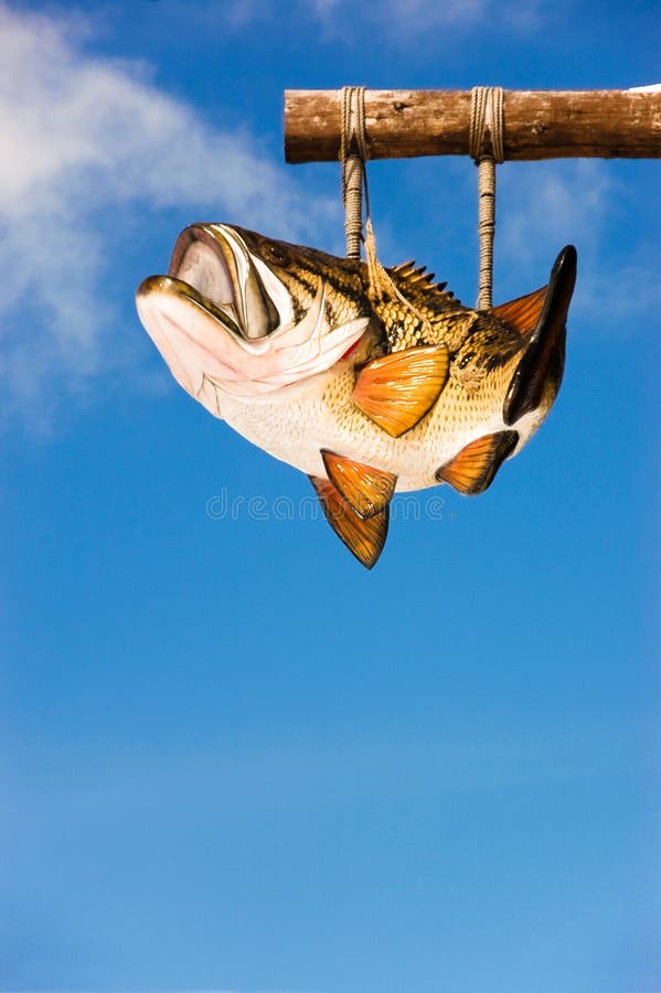 12,031 Hanging Fish Stock Photos - Free & Royalty-Free Stock Photos ...