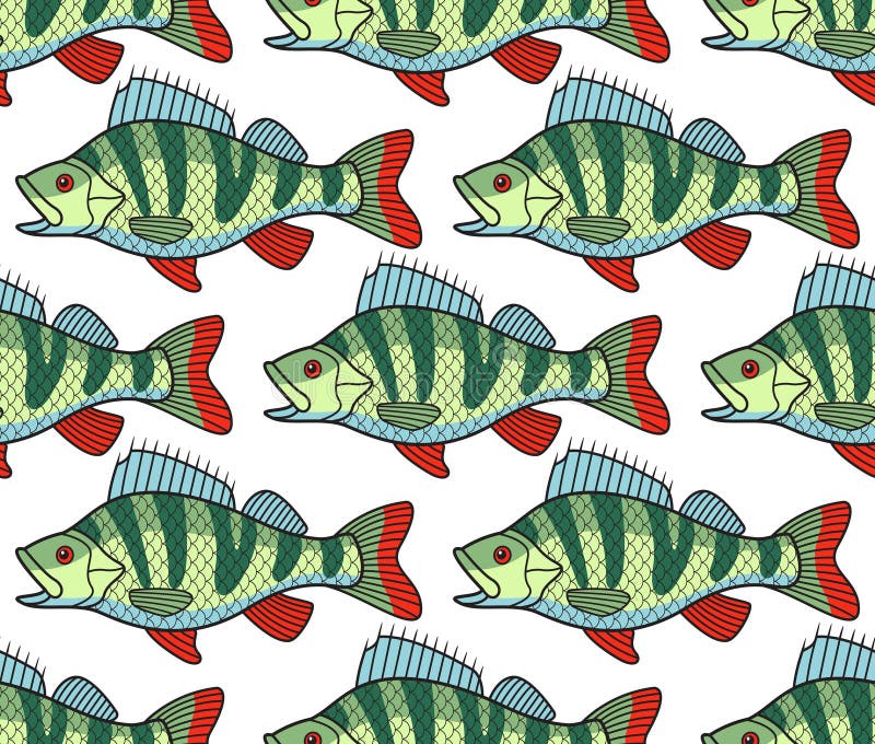 Bass fish seamless pattern stock vector. Illustration of nature - 84369795