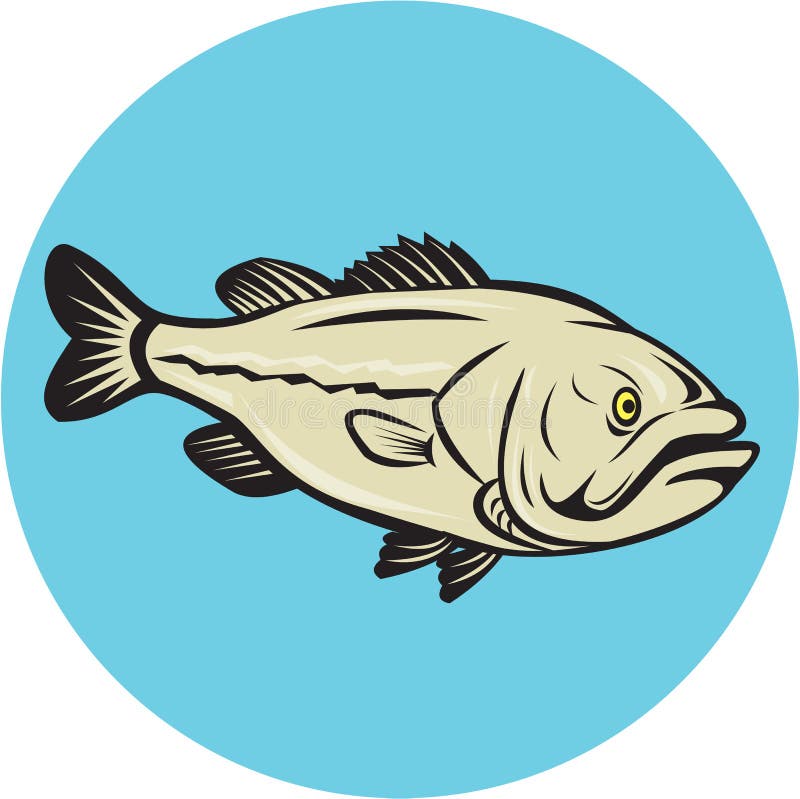 Bass Fish Side Circle Cartoon Largemouth Ilustração Stock - Ilustração ...