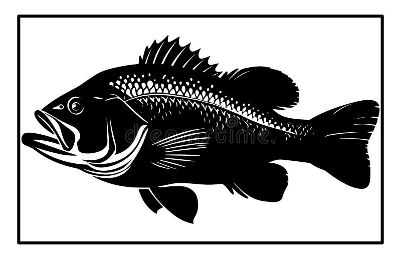 Bass Fish Silhouette Art White Background, Black and White of ...