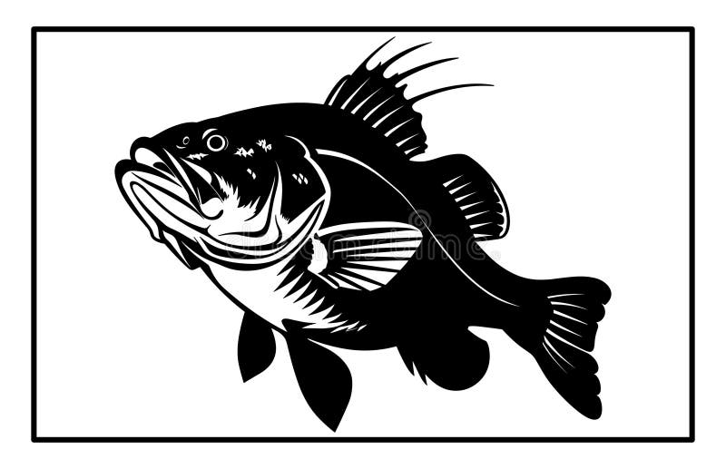 Bass Fish Silhouette Art White Background, Black and White of ...