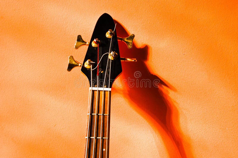 Shadow Bass - Vortex Springs Cave Stock Image - Image of cavern ...