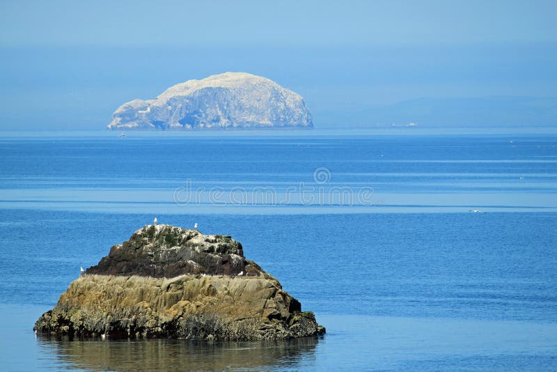 Bass Rock, Firth of Forth, from Dunbar Stock Image - Image of bass ...