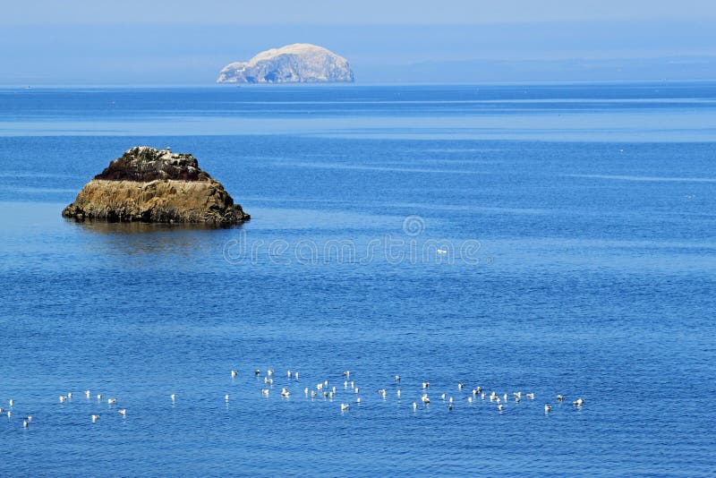 Bass Rock, Firth of Forth, from Dunbar Stock Photo - Image of bass ...