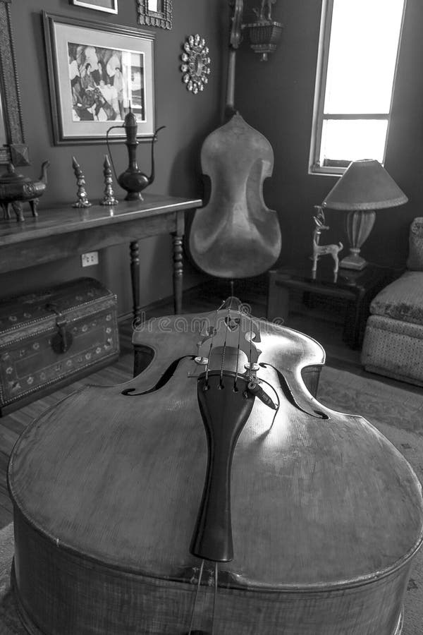 Basses stock image. Image of strings, sound, hobbie, contrabass - 67500997