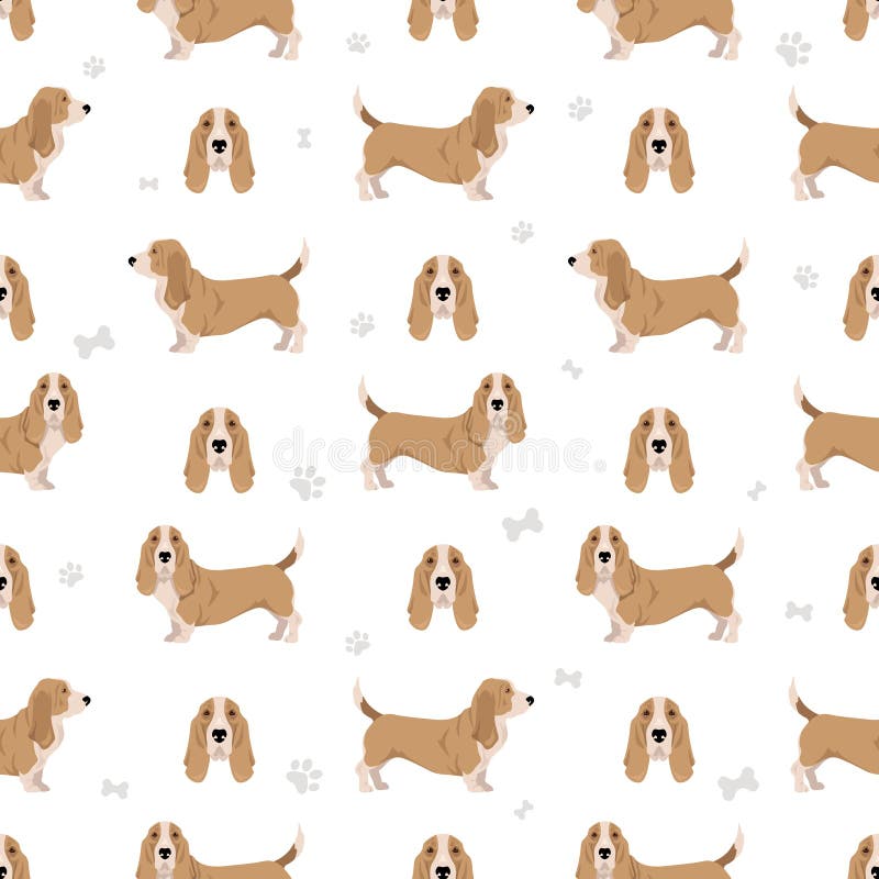 Basset Hound Dog Seamless Pattern Stock Vector - Illustration of adult ...
