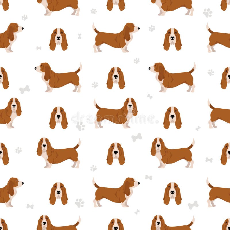 Basset hound black white stock vector. Illustration of domestic - 36873266