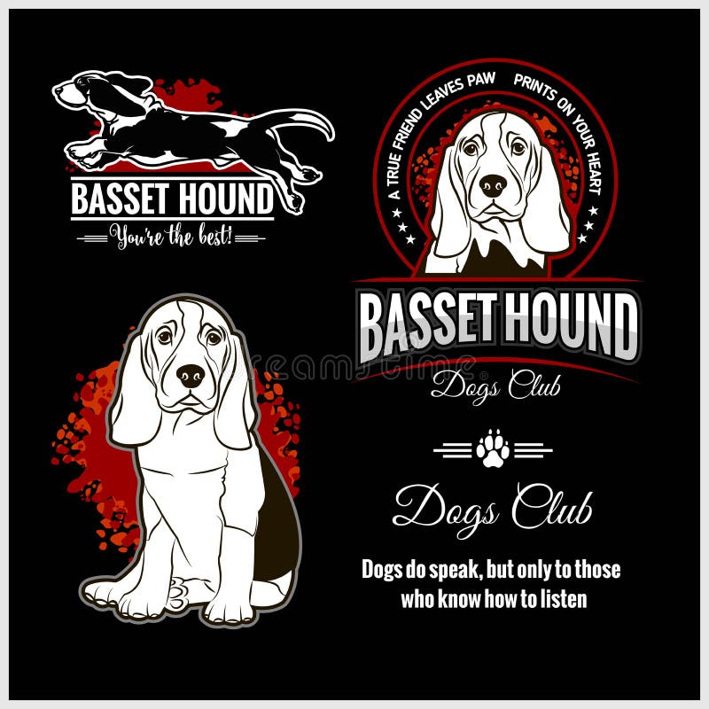 Basset Hound Dog - Vector Illustration for T-shirt, Logo and Template ... Basset Hound Dog - Vector Illustration for T-shirt, Logo and Template ...