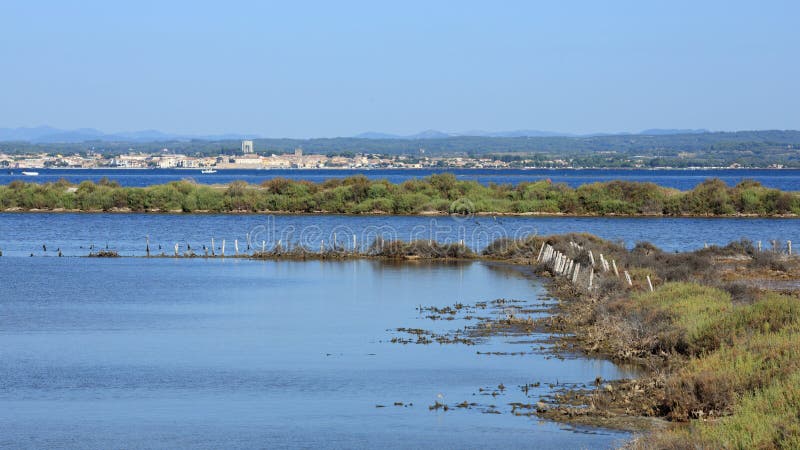 Bassin de Thau 库存照片. 图片 包括有 横向, 夏天, 盐水湖, 法国 - 103543084