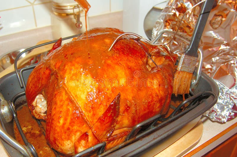 Basting Turkey 4 stock image. Image of oven, cook, baste - 7566843