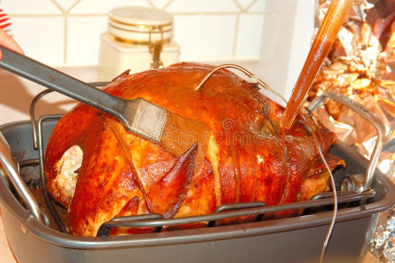 Basting Turkey stock photo. Image of bird, avian, preparation - 7566834