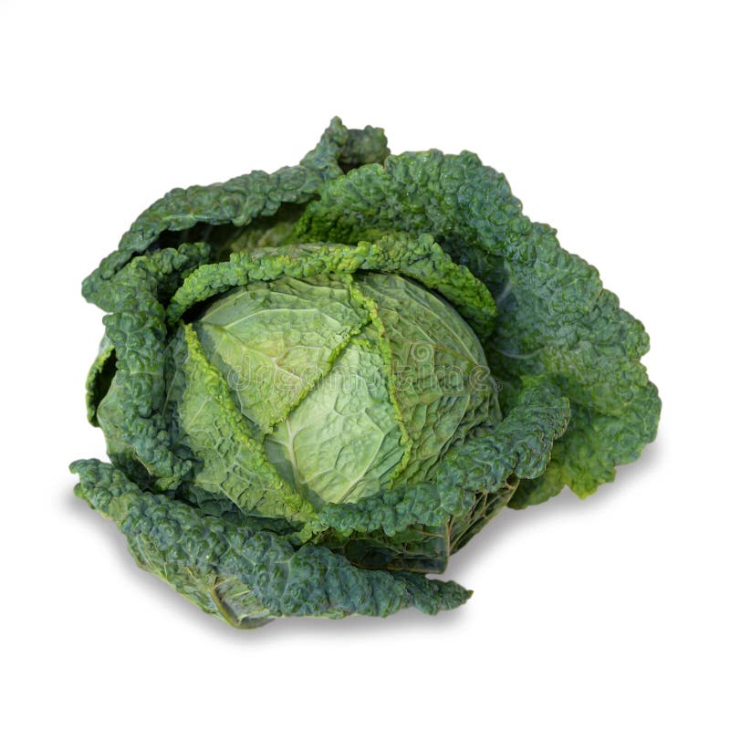 Basura De Saboya Aislada En Blanco Imagen de archivo - Imagen de ...