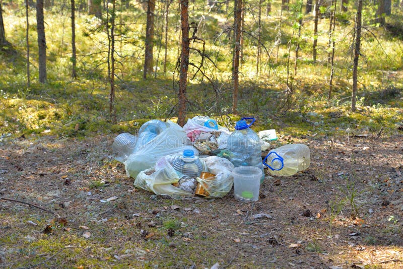 Basura En Un Pinar. Botellas De Vidrio De Alcohol Se Dispersan En El ... Basura En Un Pinar. Botellas De Vidrio De Alcohol Se Dispersan En El ...