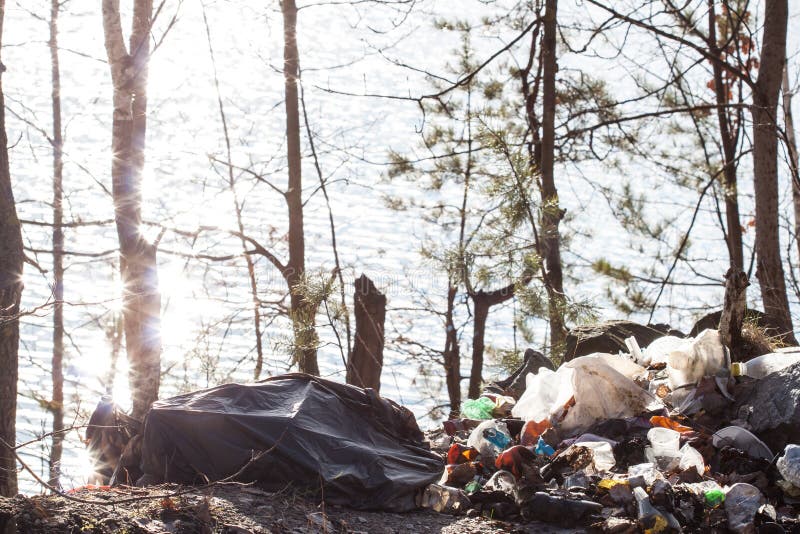 Basura en el bosque foto de archivo. Imagen de desperdicios - 110736542