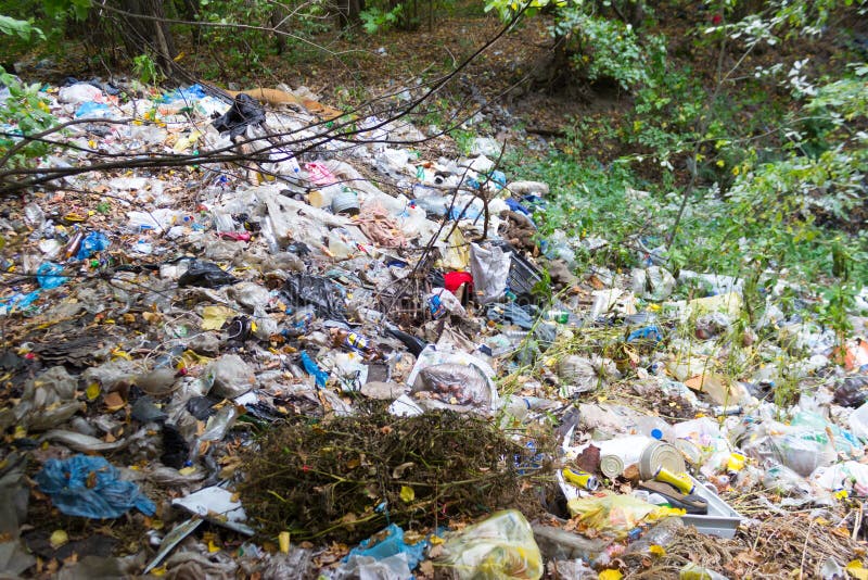 Basura en el bosque foto de archivo editorial. Imagen de tierra - 133103643