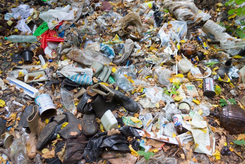 Basura en el bosque foto editorial. Imagen de parque - 133103791