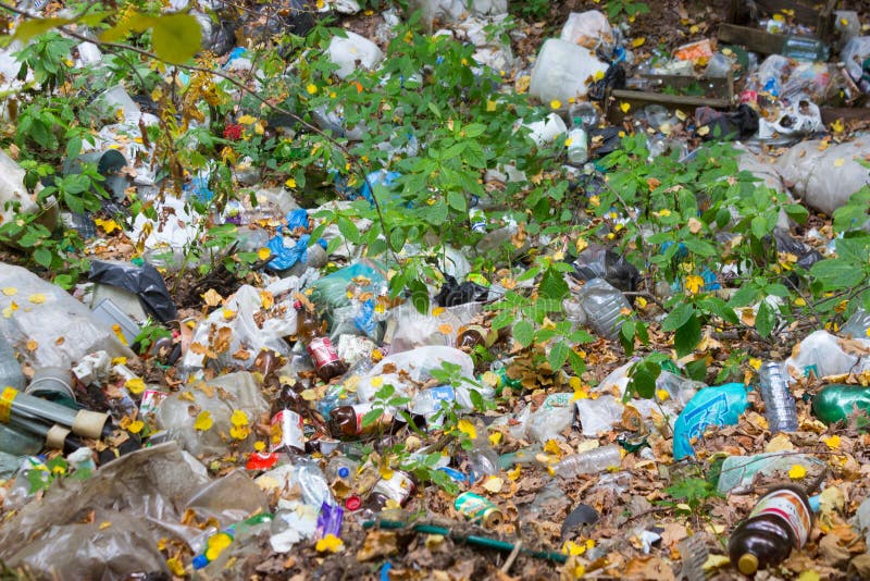 Basura en el bosque foto editorial. Imagen de vaciado - 133104011