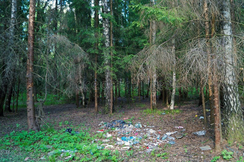 Basura en el bosque foto de archivo. Imagen de scrapyard - 54485474