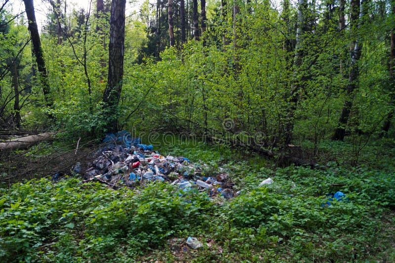 Basura en el bosque foto de archivo. Imagen de hierba - 54485490