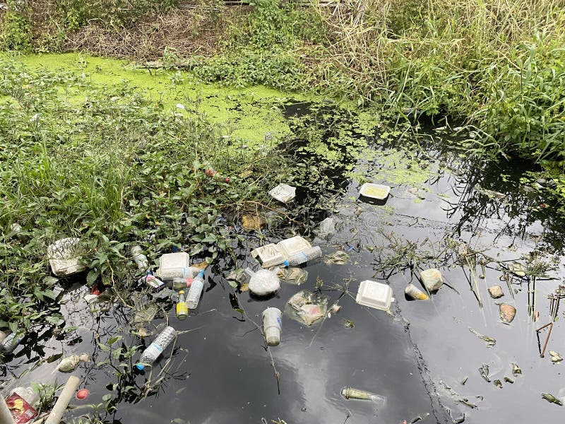 Basura en el parque foto editorial. Imagen de recicle - 262479886