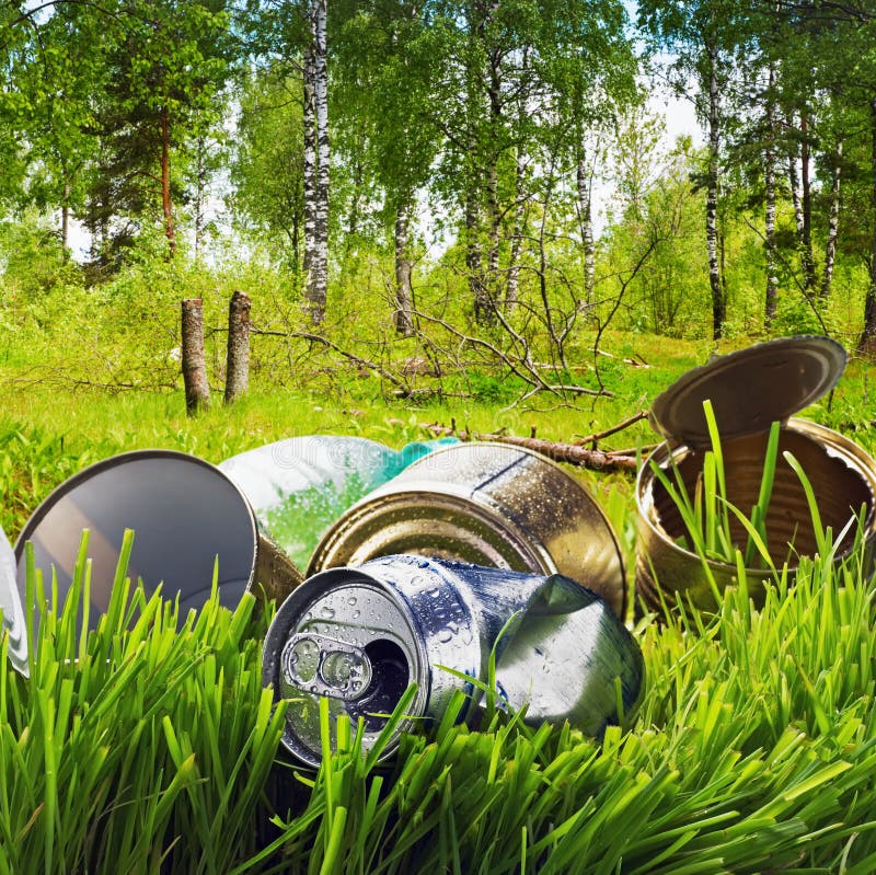 Basura Y Basura Contaminadas Bosque Foto de archivo - Imagen de verde ...