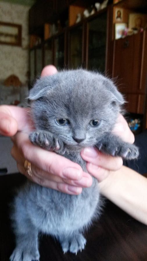 Basya Stock Photos - Free & Royalty-Free Stock Photos from Dreamstime