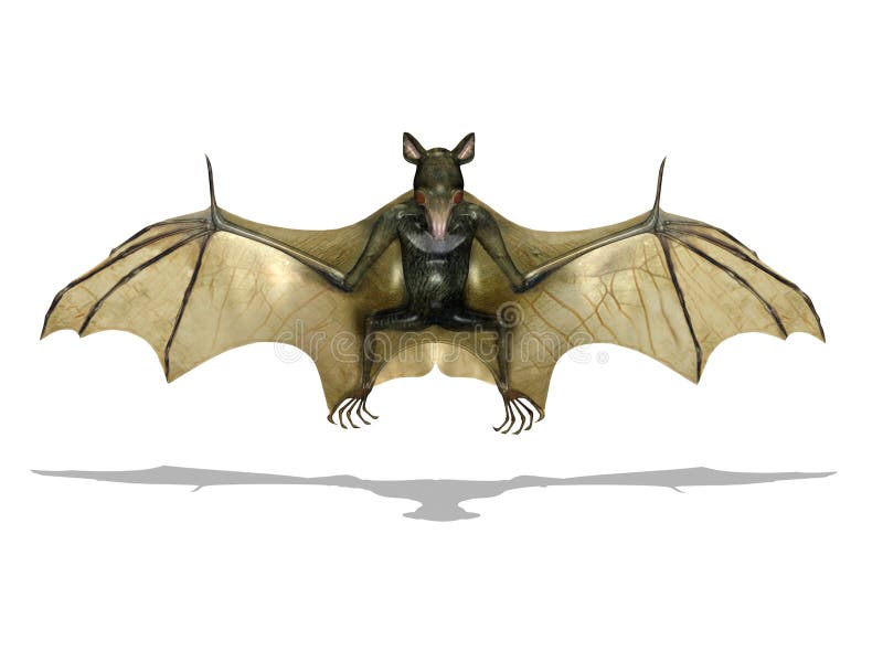 Flying Vampire Bat Isolated on White Background Stock Illustration ...