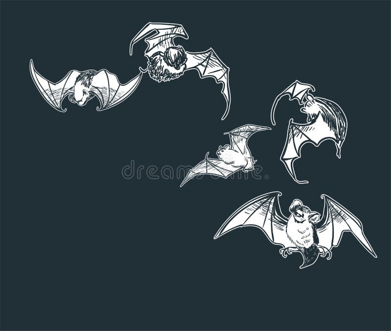 Symbol Of Chinese Bat On White Background Stock Illustration ...