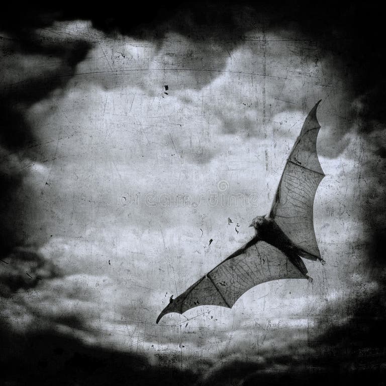 Bat in the Dark Cloudy Sky, Halloween Background Stock Illustration ...