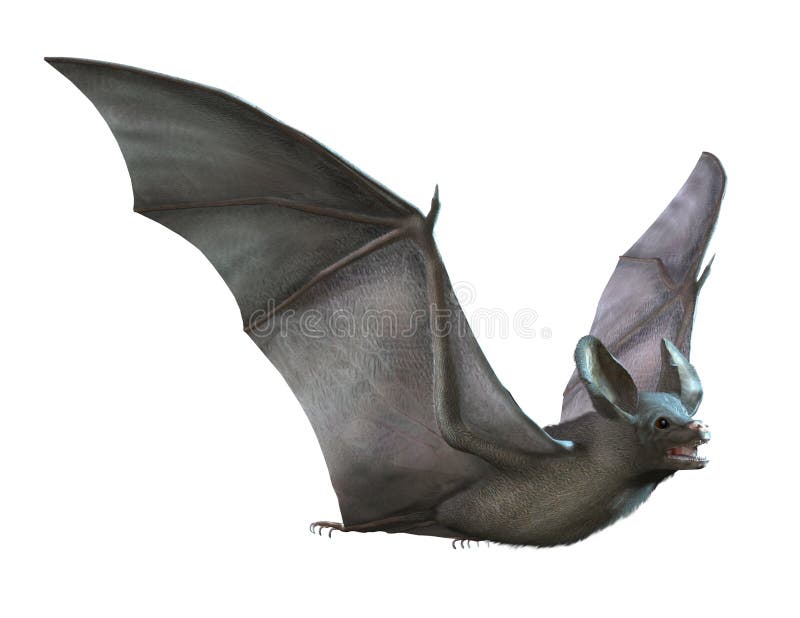 Flying Bats - Includes Clipping Path Stock Illustration - Illustration ...