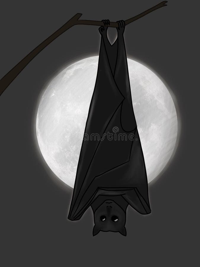 A Bat Hangs Upside Down on a Branch Against the Backdrop of the Moon ...