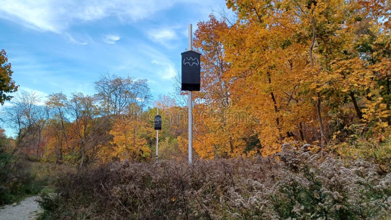 Bat house in Canadian park stock image. Image of roof - 295383597
