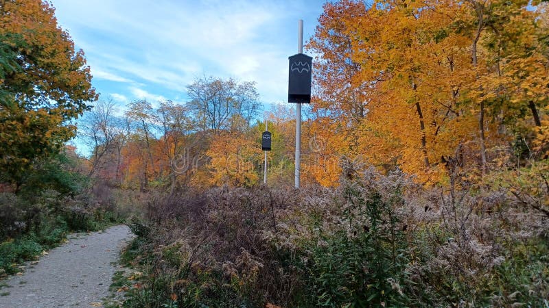 Bat house in Canadian park stock image. Image of black - 295383603