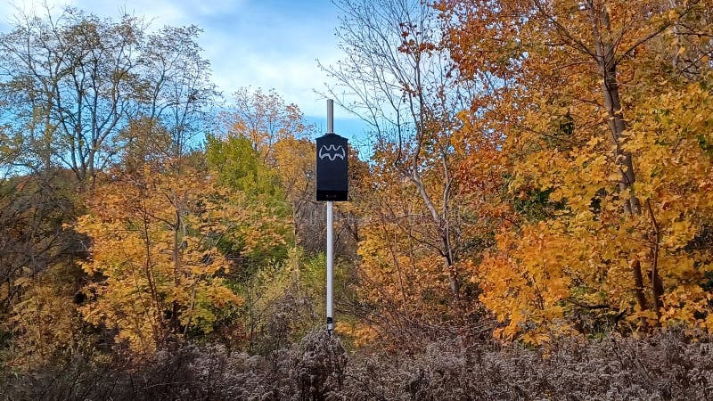 Bat house in Canadian park stock photo. Image of shelter - 295383620