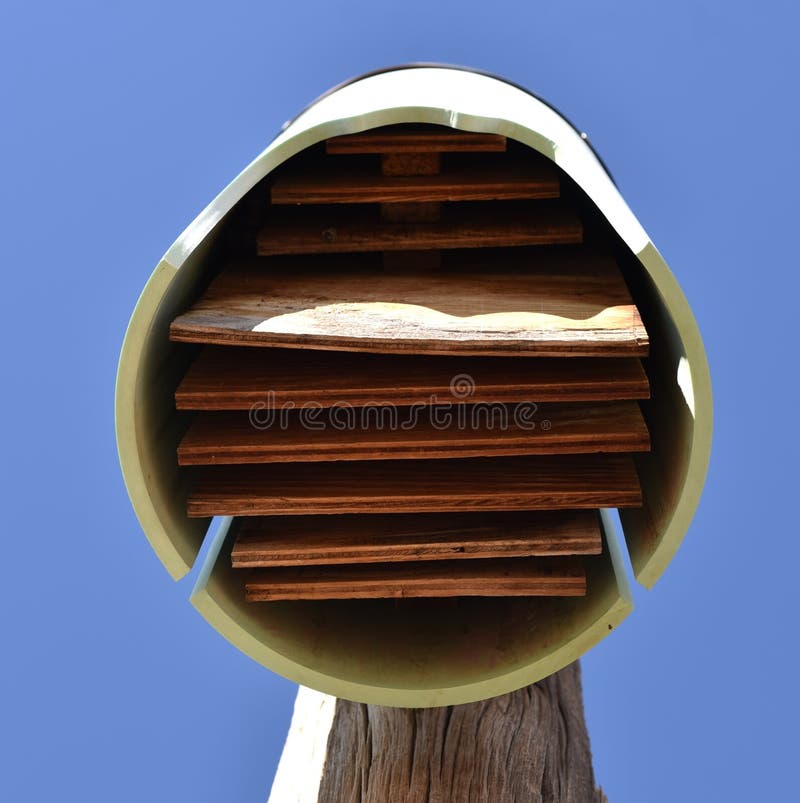 Inside a bat house stock image. Image of protect, wood - 327739709