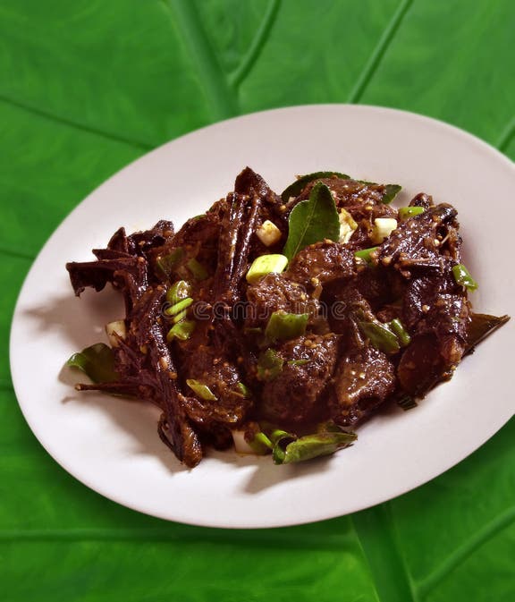 Bat meat stock photo. Image of meal, fish, diet, meat - 12598604