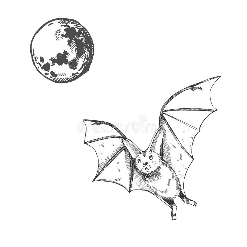 Bat and Moon, Bat Flying Under the Full Moon. All Objects are Hand ...