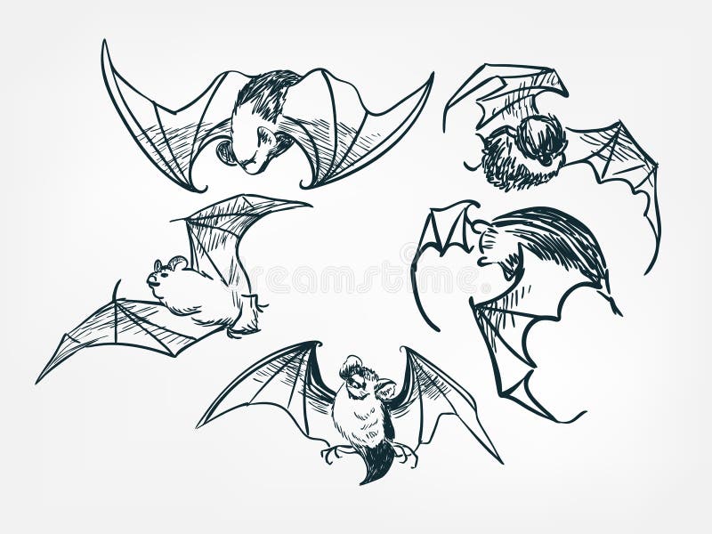 Traditional Chinese Bat Symbol Stock Illustrations – 137 Traditional ...