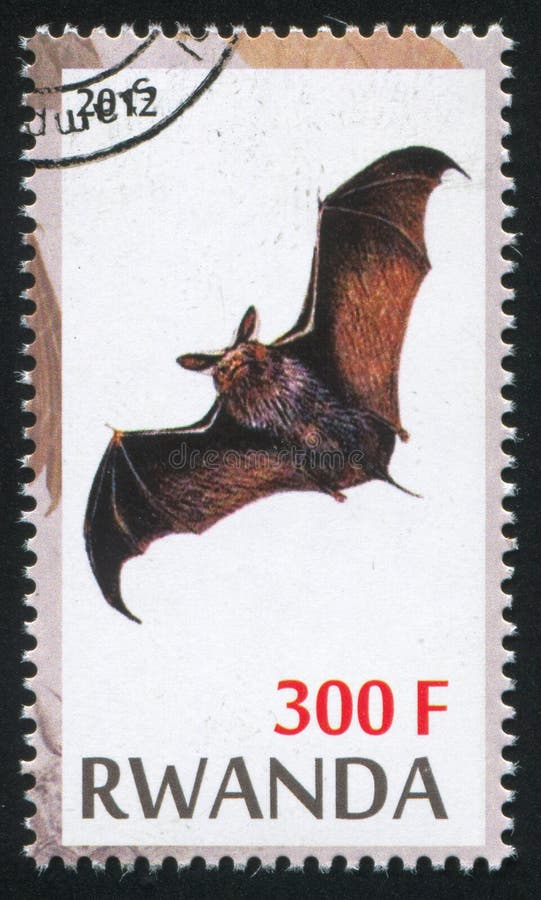 Bat Stamp Printed by Rwanda Editorial Stock Image - Image of nocturnal ...