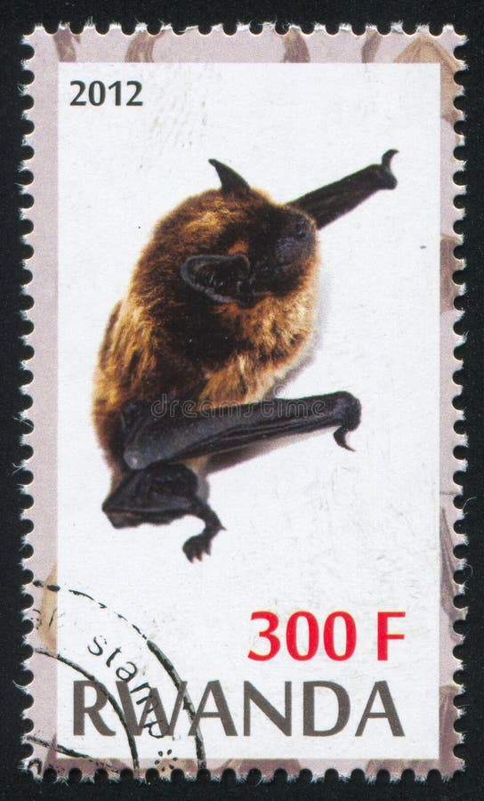 Bat Stamp Printed by Rwanda Editorial Photo - Image of environment ...