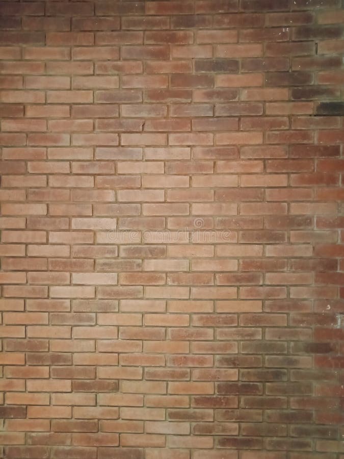 Bata merah stock photo. Image of bata, merah, brick - 227502380