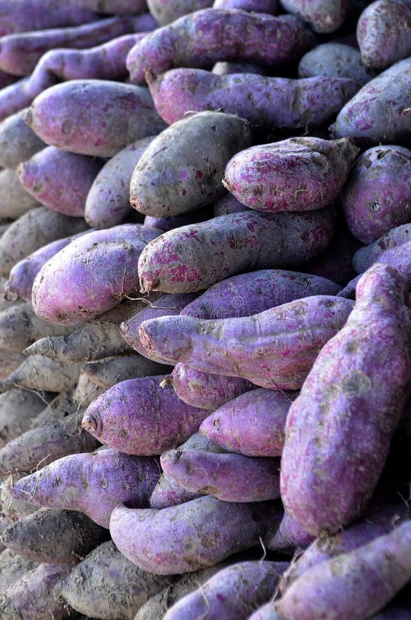 Bataat stock foto. Image of goederen, voeding, heerlijk - 28290478