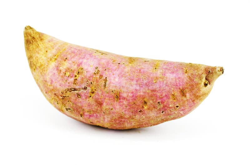 Bataat stock foto. Image of eetbaar, oogst, sinaasappel - 49164552