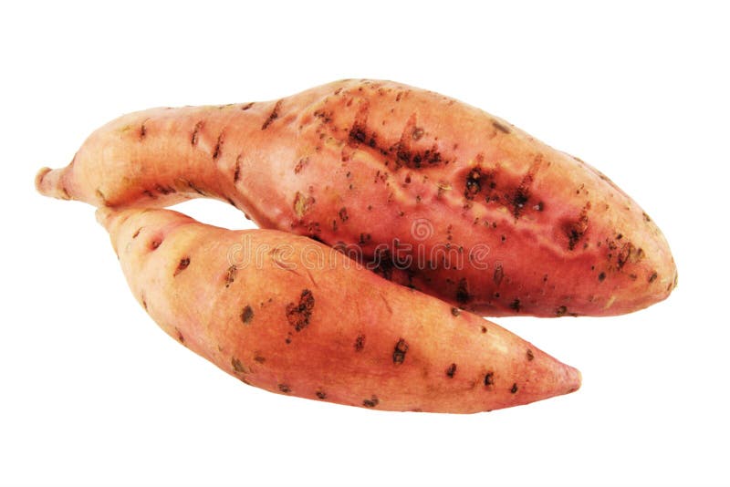 Zoete Aardappel. Ipomaea Batatos Lam. Stock Afbeelding - Image of zoet ...