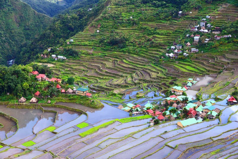 Batad, Philippines stock photo. Image of tradition, field - 198346682
